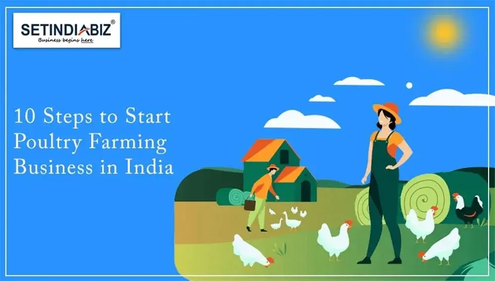 How to Start Poultry Farming in India: A 10-Step Guide