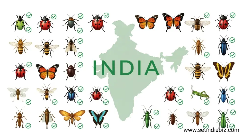 Approved Insecticides for Registration in India: Full List