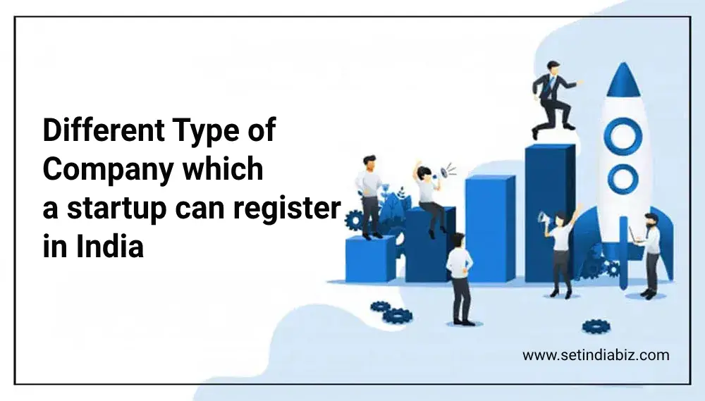 Comprehensive Guide: Types of Companies for Startups in India