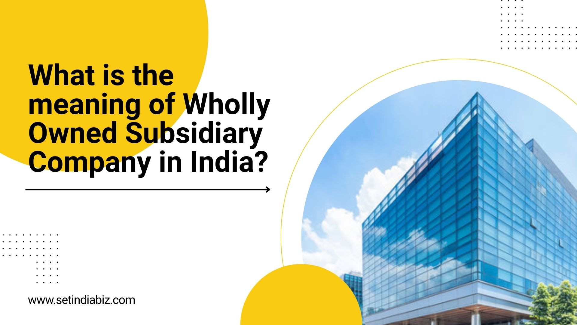 Wholly Owned Subsidiary Explained | Meaning & Indian Examples